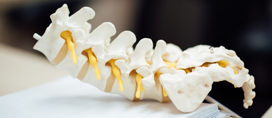 How Many Vertebrae Are There In The Human Spine 
