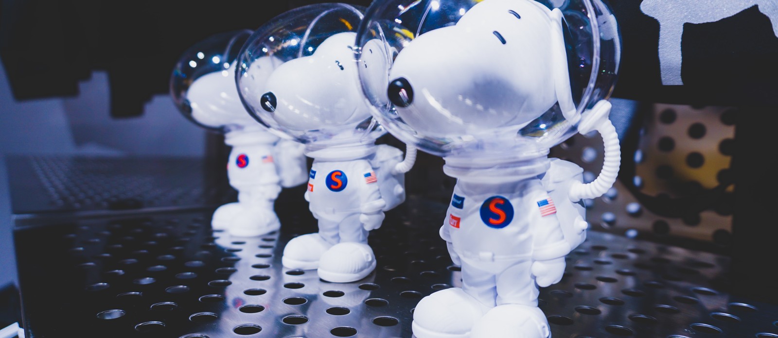 Who is Snoopy's owner?