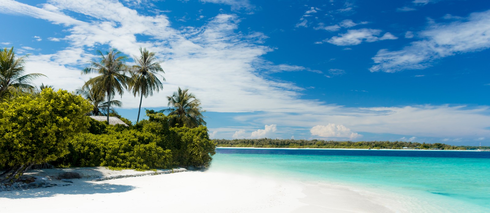 Who was the female star of "The Blue Lagoon"?