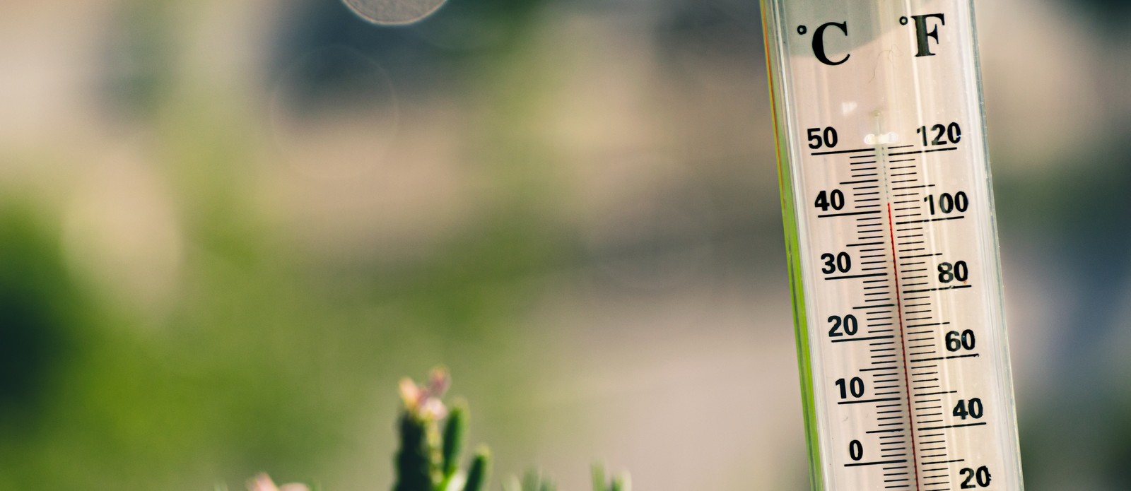 Which mineral is the main source of mercury?