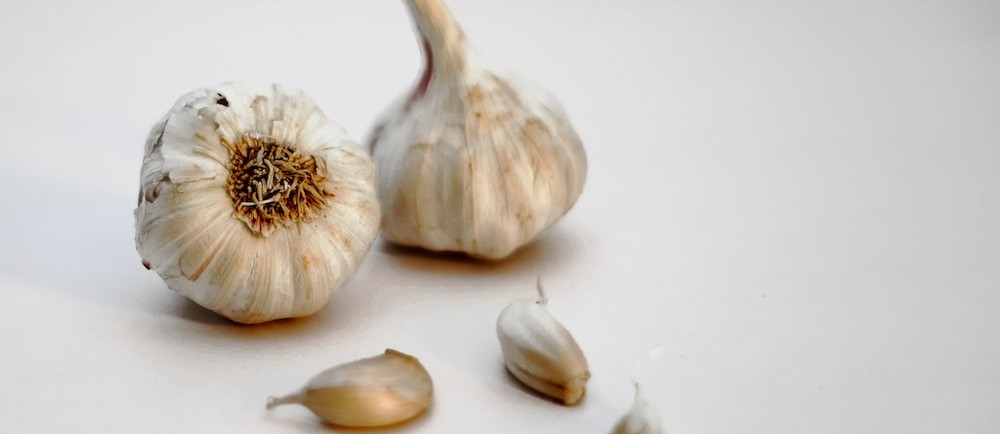 Which country is the world's largest garlic producer?
